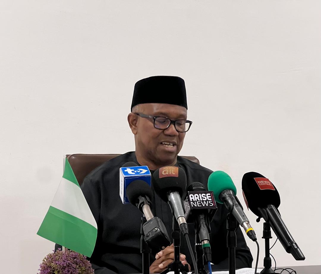 NDC Primaries Produce Winners Across Rivers, Enugu, Imo, Lagos, Adamawa ...